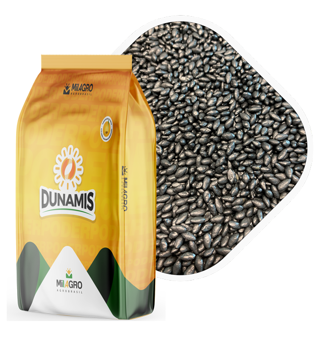 Brachiaria é Dunamis | Milagro Agro Brasil